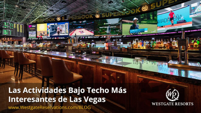 Las Actividades Bajo Techo Más Interesantes de Las Vegas