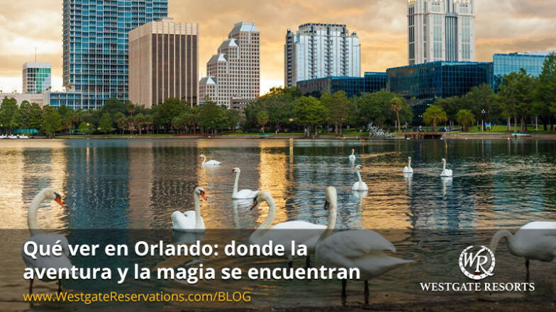 Qué ver en Orlando: descubre la magia más allá de los parques