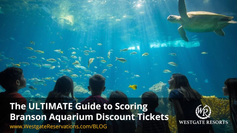 ULTIMATE Guide to Scoring Branson Aquarium Discount Tickets